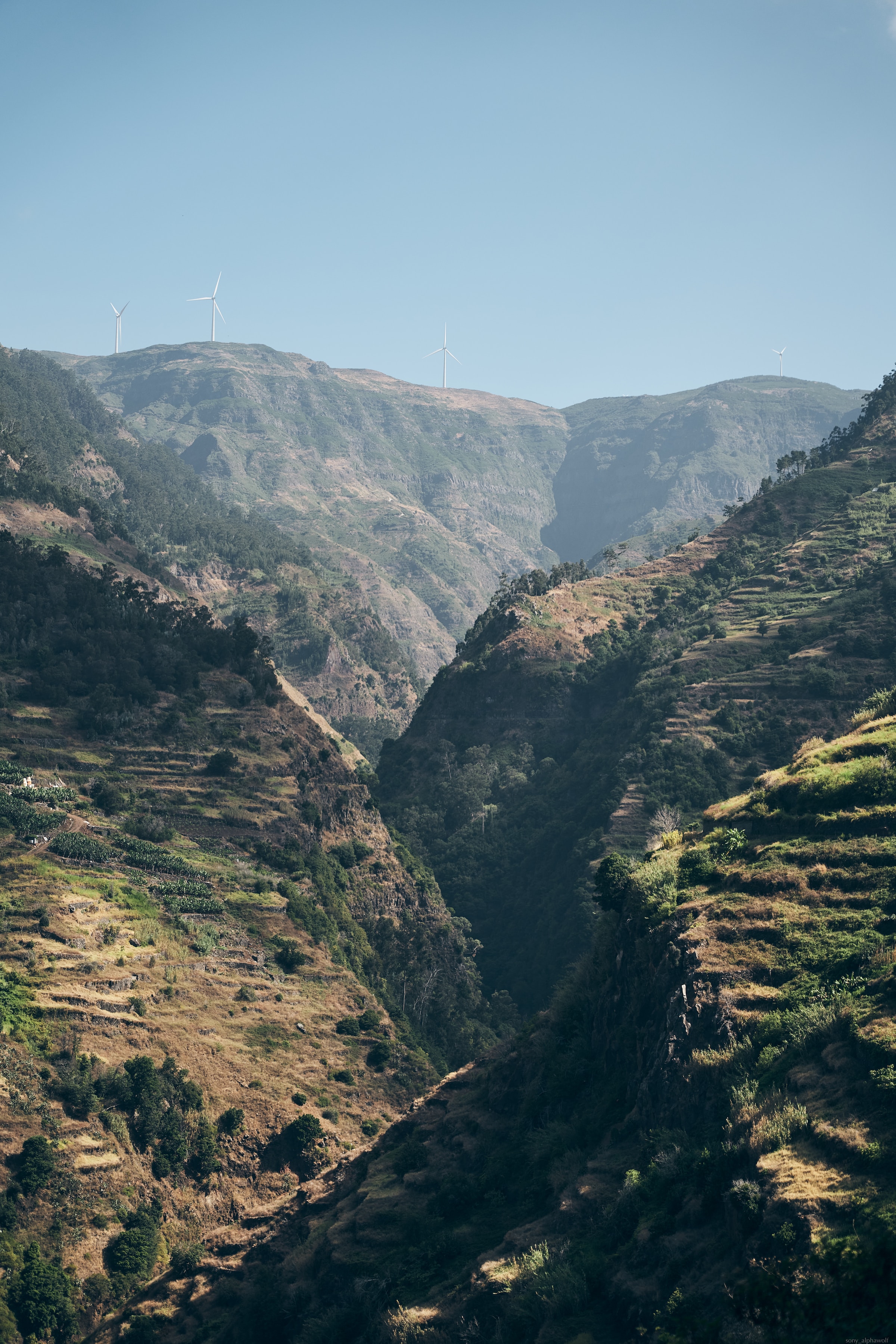 Madeira Wanderlust